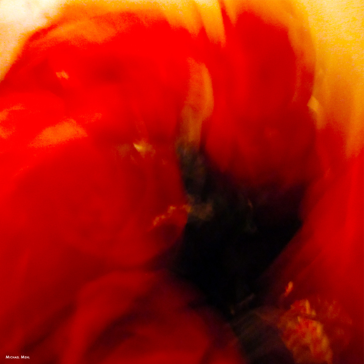 FOTOSEPTIEMBRE USA 2021 Online Gallery : Michael Mehl : Event Horizon ...