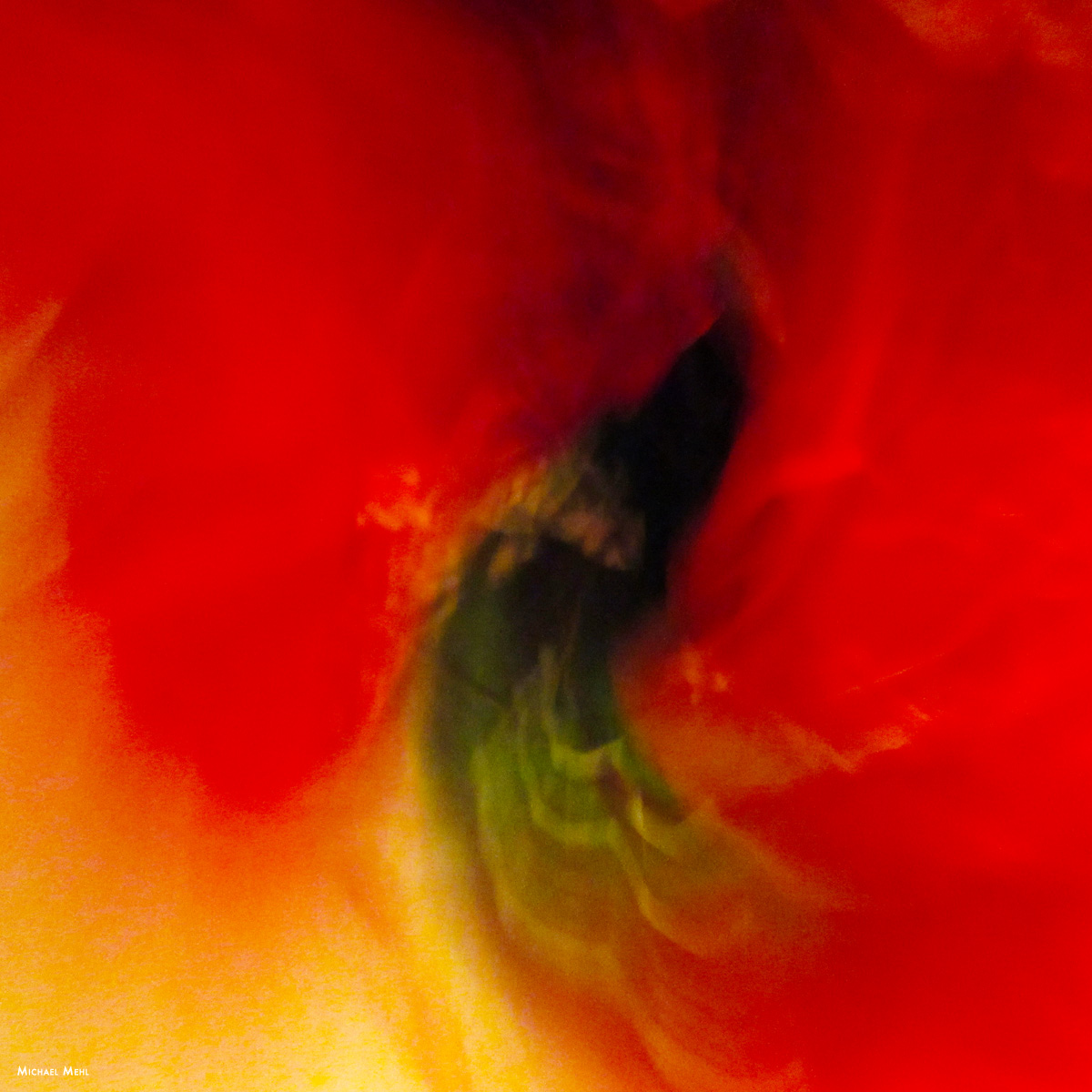 FOTOSEPTIEMBRE USA 2021 Online Gallery : Michael Mehl : Event Horizon ...
