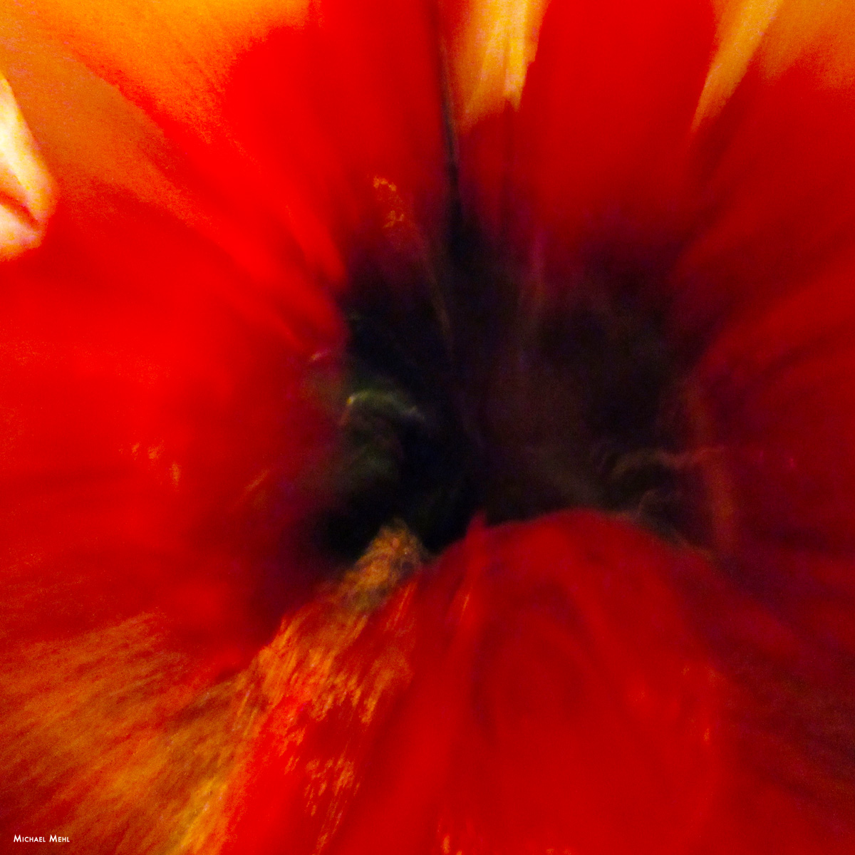 FOTOSEPTIEMBRE USA 2021 Online Gallery : Michael Mehl : Event Horizon ...