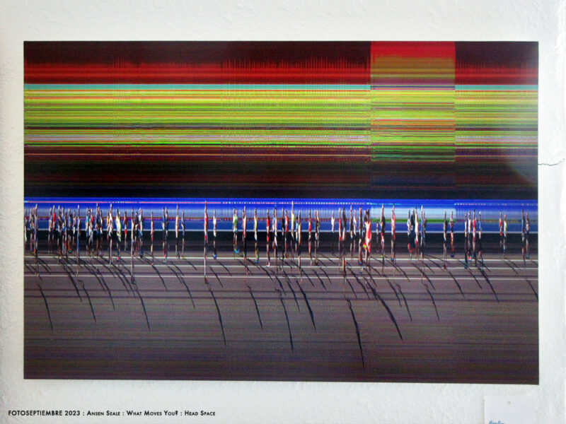 FOTOSEPTIEMBRE 2023 Exhibition Documentation : Ansen Seale : What Moves ...